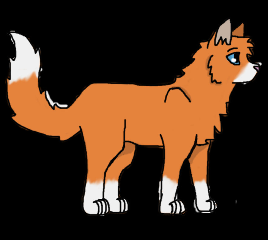 Foxpaw by JustNorthOfDreams on DeviantArt