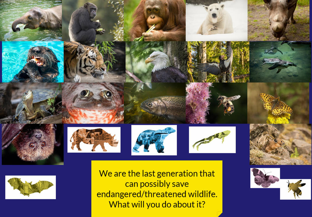 Endangered Species Day! by AustinSPTD1996 on DeviantArt