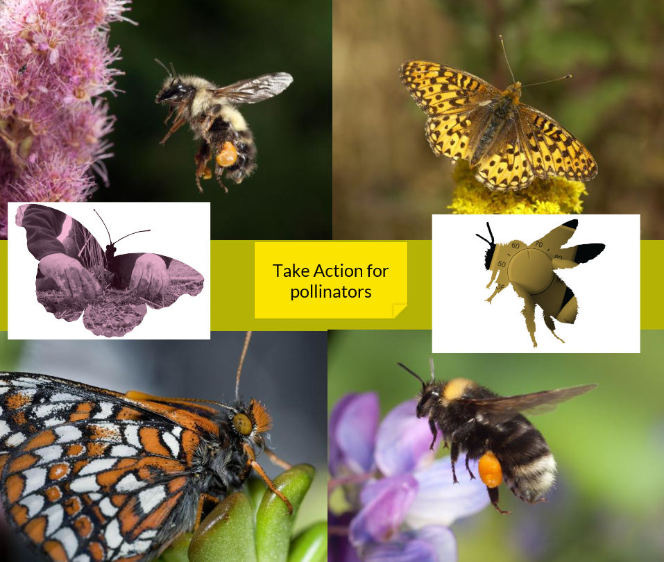 Pollinator Week! (Jun. 20 - Jun. 26) by AustinSPTD1996 on DeviantArt