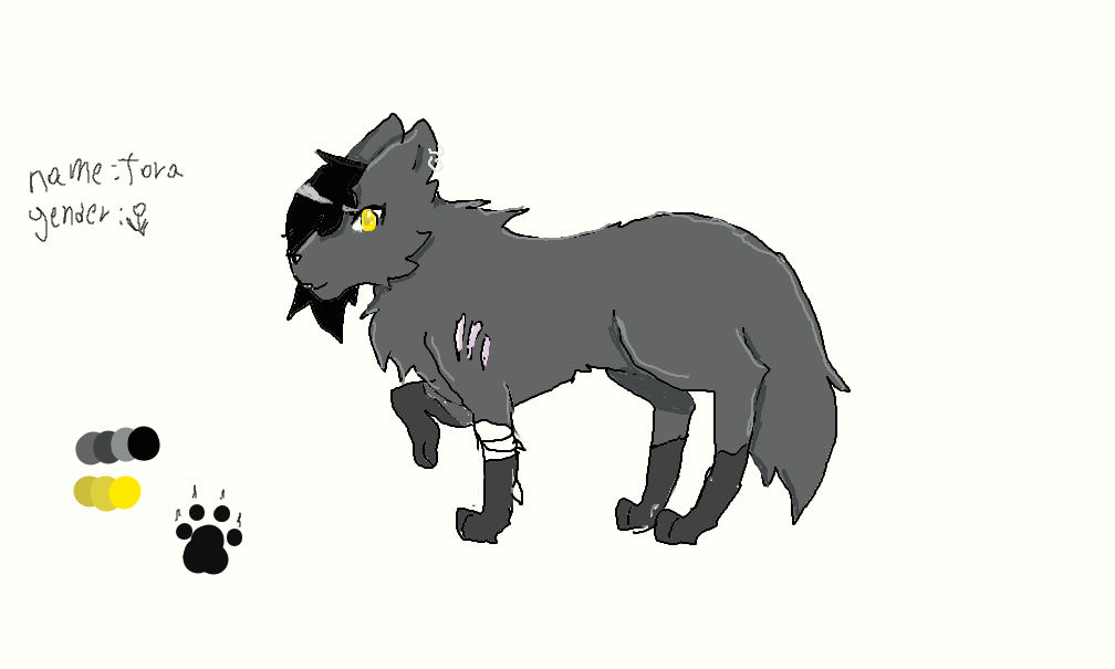 Wolf OC by Kawa11W0lf on DeviantArt