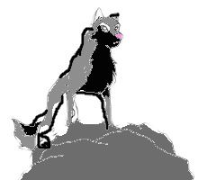 IMMA WOLF 1 by MLPandLPSfan on DeviantArt