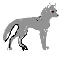 IMMA WOLF 2 by MLPandLPSfan on DeviantArt