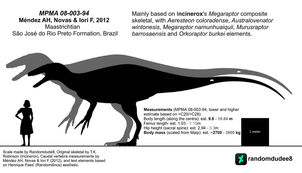 Megaraptora indet. from Brazil (MPMA-08-003-94) by randomdudee8 on ...