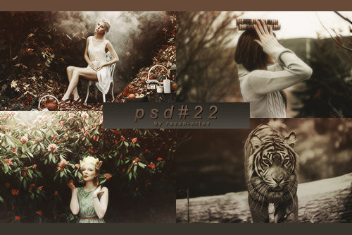PSD #22 by RavenOrlov on DeviantArt