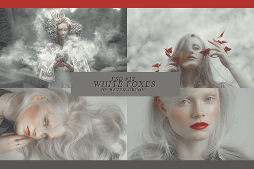 PSD #32 by RavenOrlov on DeviantArt