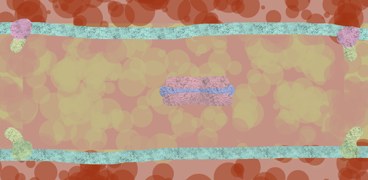 What's inside your drawing cells. by RubyShapphire4765 on DeviantArt