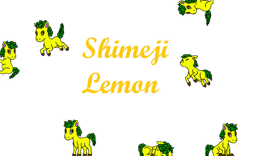 Lemon The Pony Shimeji by AmethystCNArts on DeviantArt