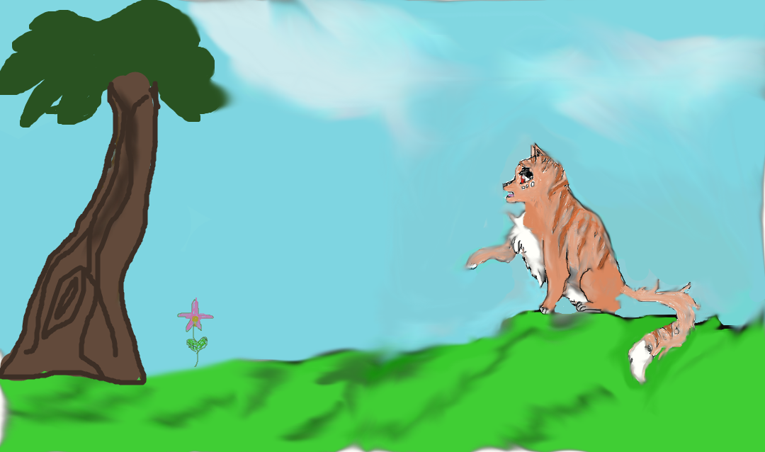 Warrior emberpaw by cheetahfirearis on DeviantArt