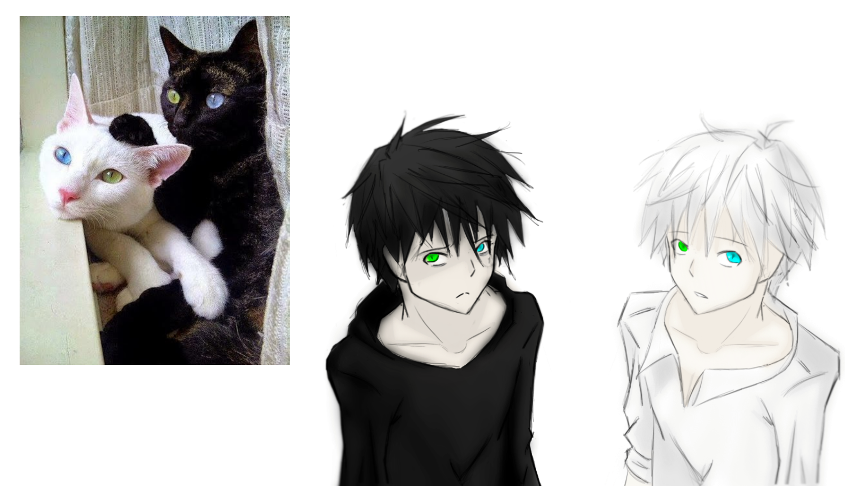 Kurdish Van Cat Twins by CocoDango on DeviantArt