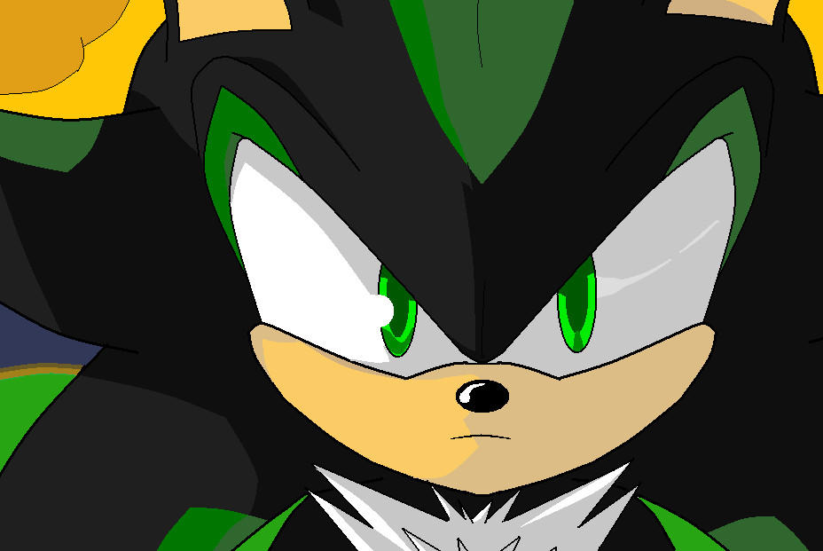 Notch the Hedgehog 7 by NotchTheHedgehog on DeviantArt