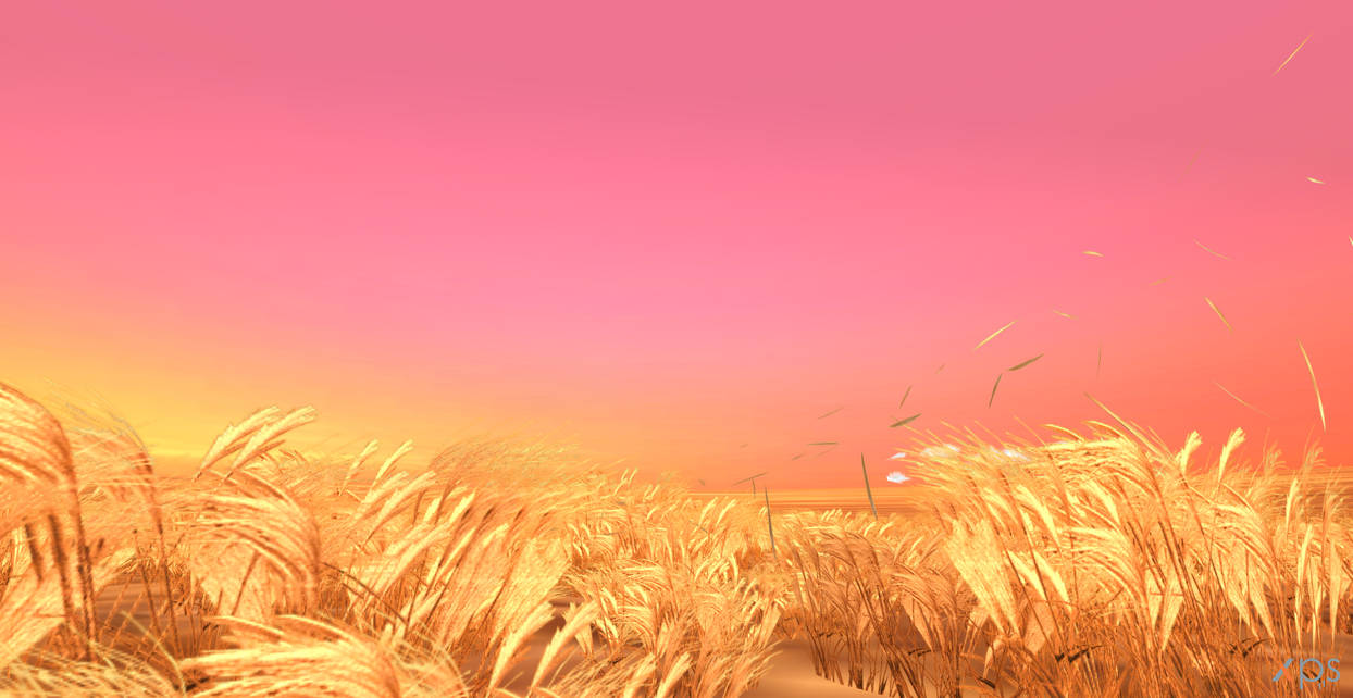 Wheatfield For XPS by Tough-Turtle-Dragon on DeviantArt
