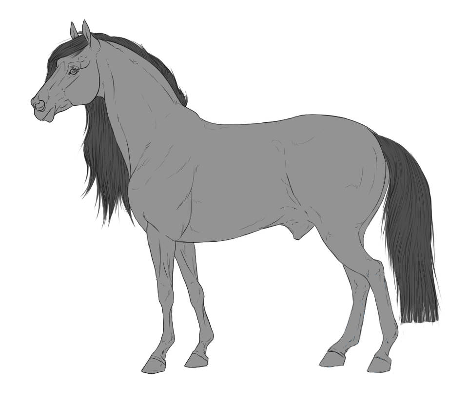 Black Azteca Horse