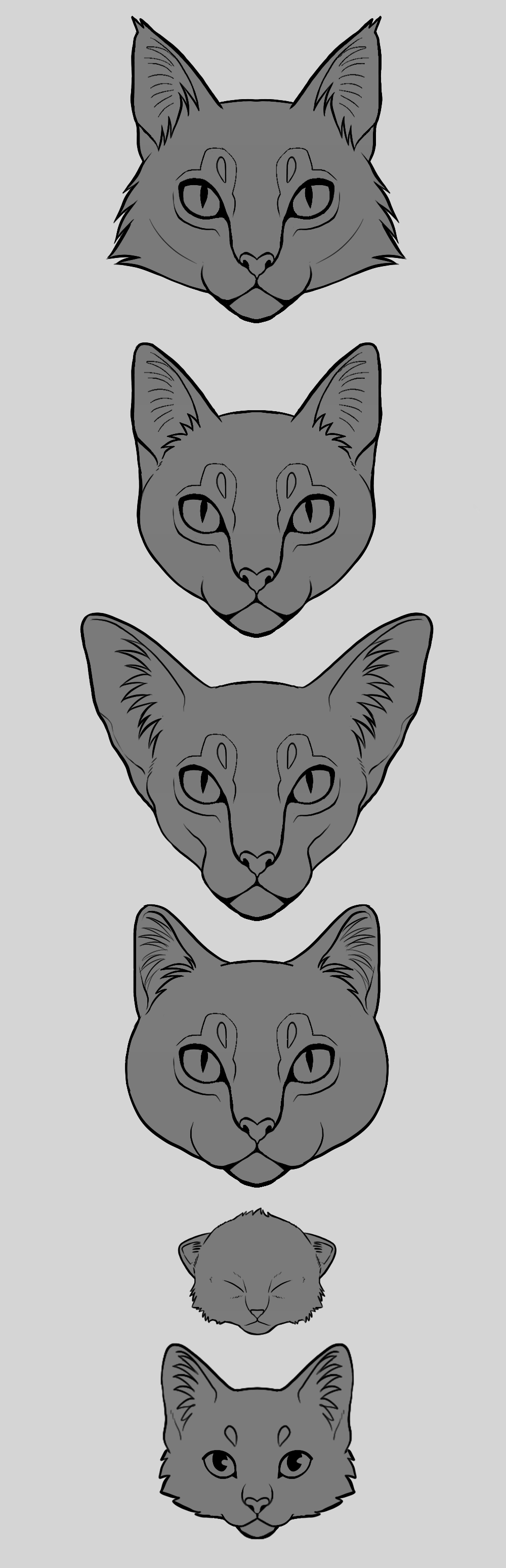 Cat Headshots F2U Base by foebast on DeviantArt