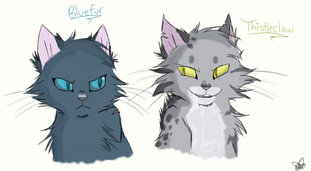 Bluefur/Thistleclaw by KisaKat000 on DeviantArt