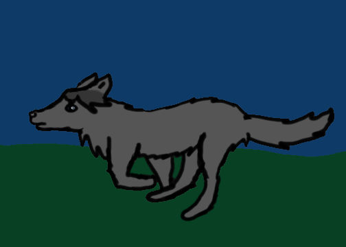 Wolf run cycle by Hawkheart1 on DeviantArt