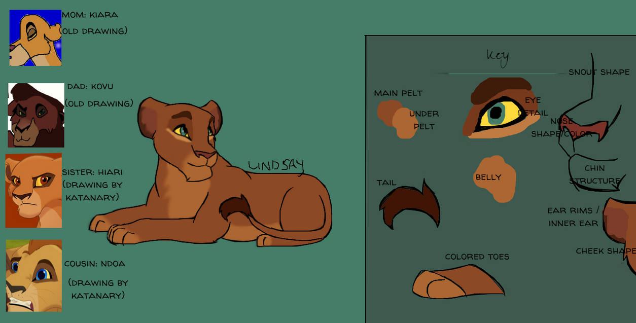 Suki Reference Sheet by Skullaaa on DeviantArt