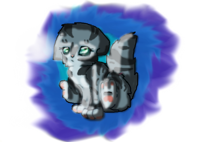 willowkit by frostthecat01 on DeviantArt
