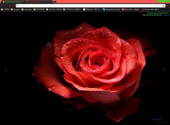 Themes google chrome Rose on Valentine's Day by googlefan on DeviantArt