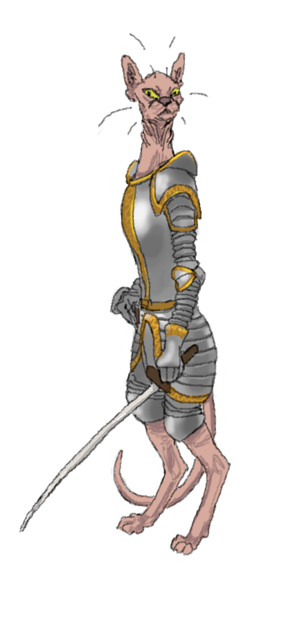 draw a fantasy character by Tearup on DeviantArt