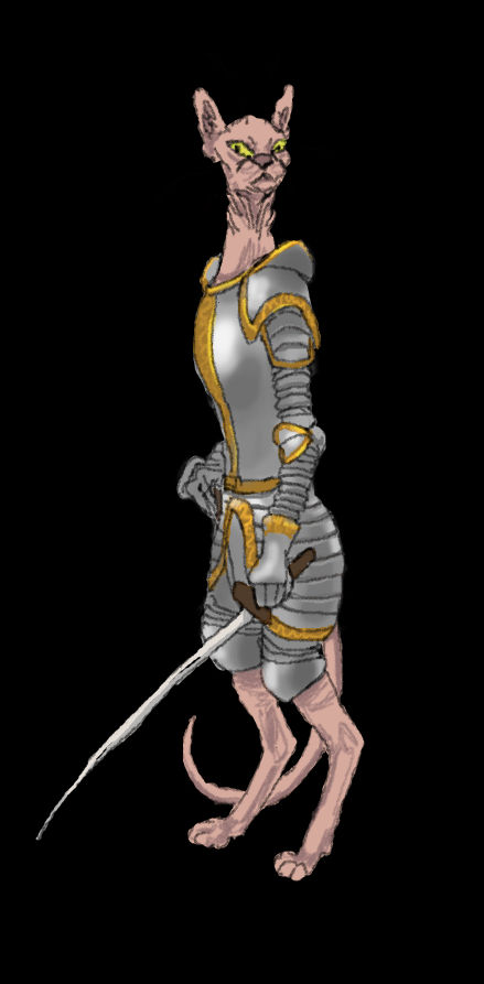 draw a fantasy character by Tearup on DeviantArt