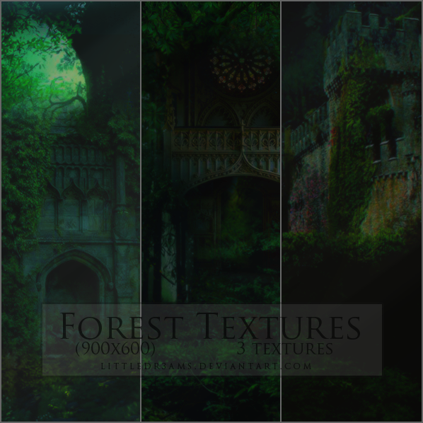 FOREST TEXTURES by LittleDr3ams on DeviantArt