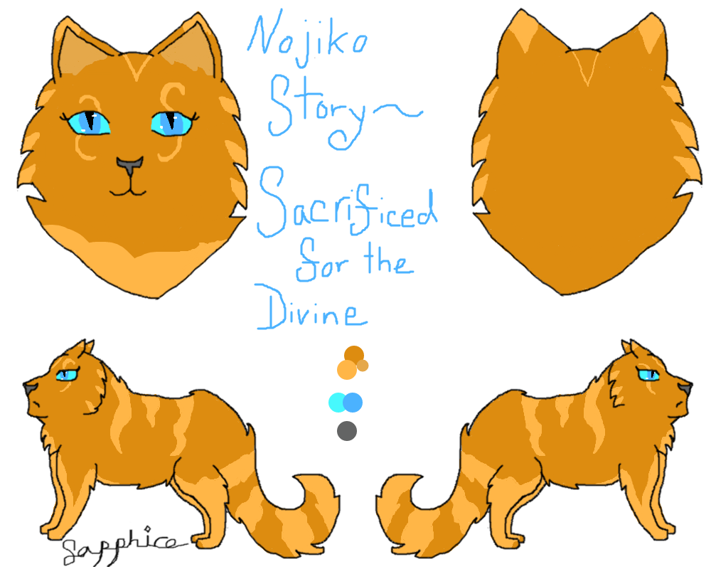 Nojiko ref by SapphireofNight on DeviantArt