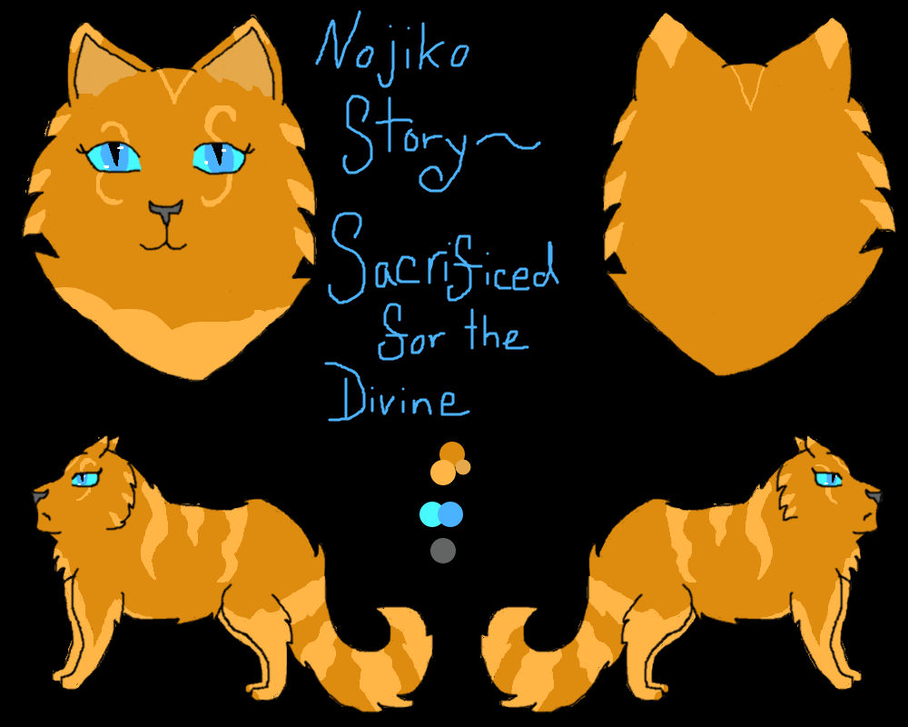 Nojiko ref by SapphireofNight on DeviantArt