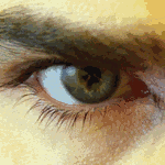 Husky Eye Morph by oboroten on DeviantArt