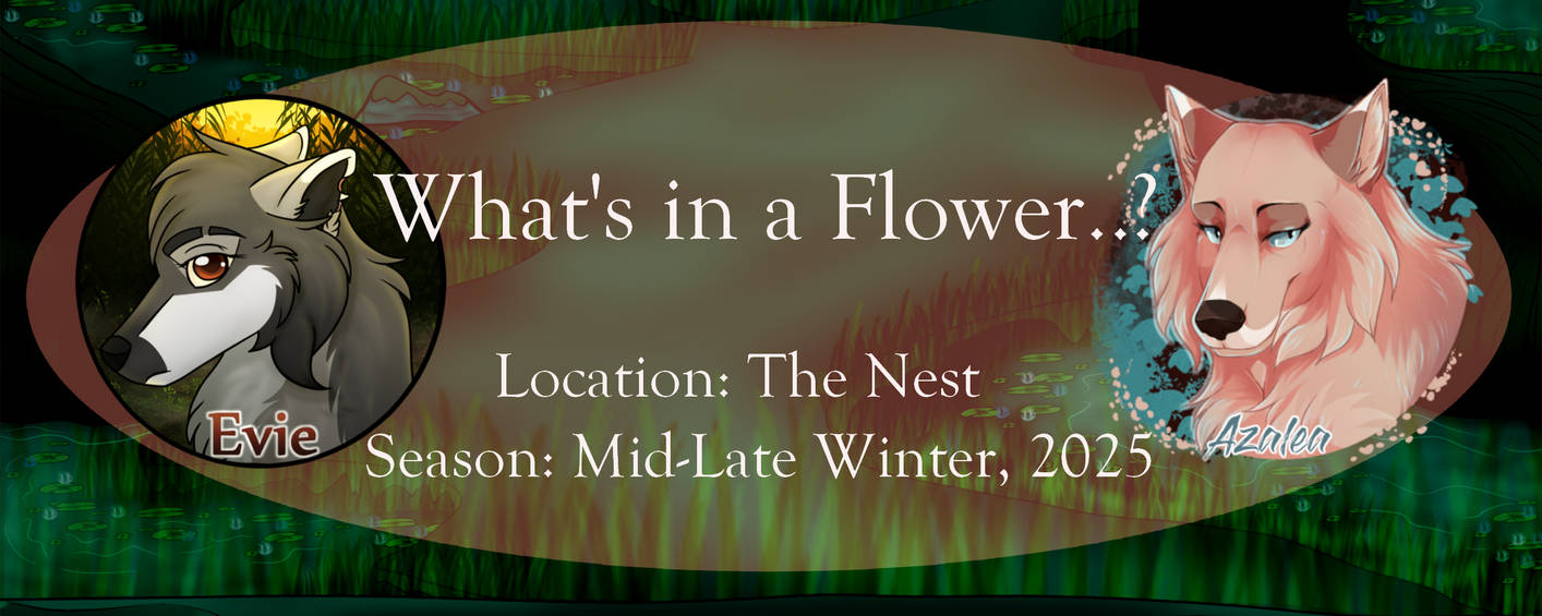 [DoTW] Whats in a flower - Evie and Azalea rp by Cipisis-Sketch on ...