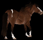 American Saddlebred |P2U base| by HorRaw-X on DeviantArt