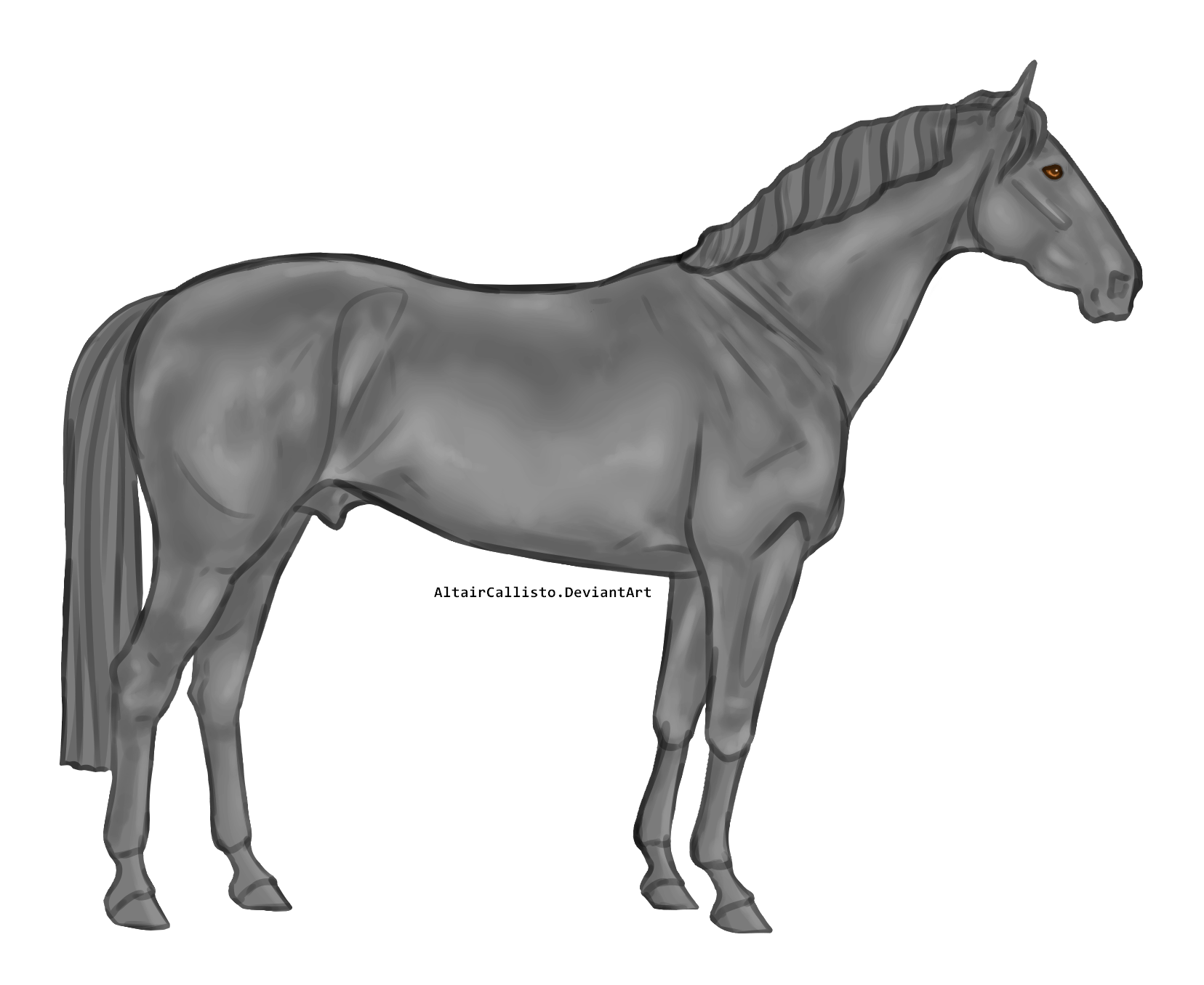 Define Show Pony at Katherine Roosa blog