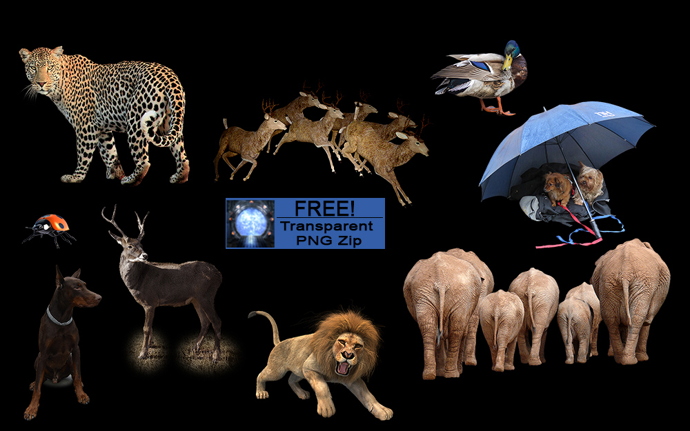 animals by Atlantis0815 on DeviantArt