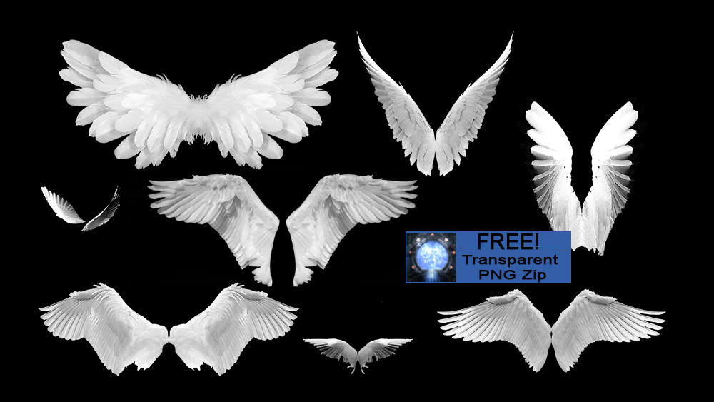 wing by Atlantis0815 on DeviantArt