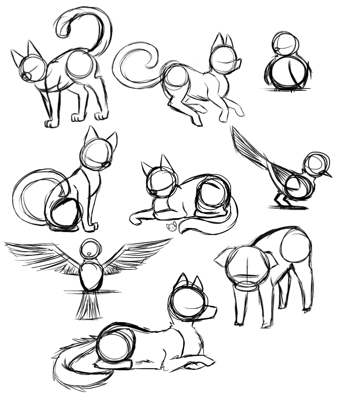 Animal Sketches by ScarletStrawberry on DeviantArt