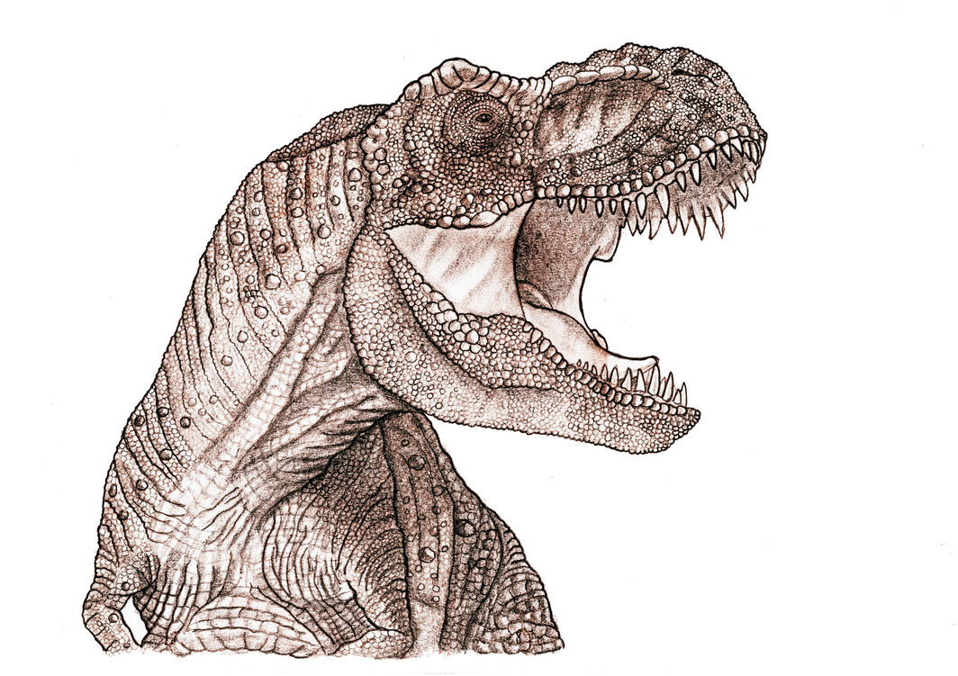 Jurassic Park Tyrannosaurus Roar by yankeetrex on DeviantArt