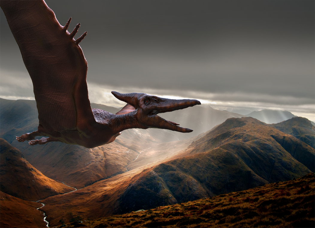 Pteranodon Skies by yankeetrex on DeviantArt