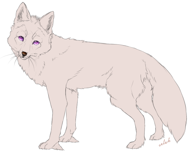 free to use: fox adopt base by wxndxrxr on DeviantArt