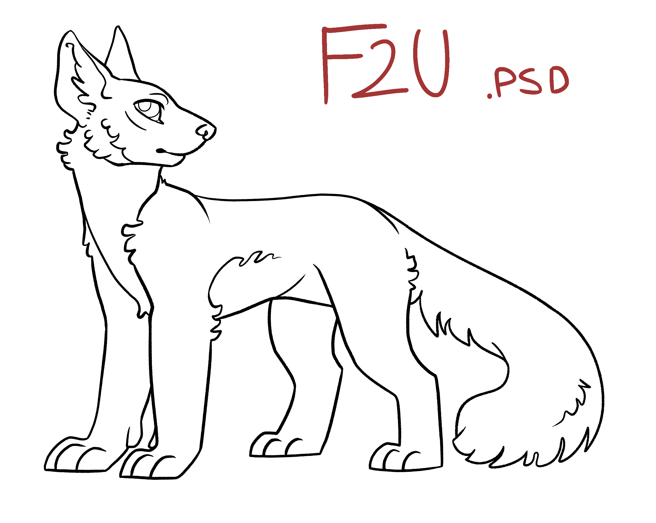 Feline/Canine Base by Vashkareeth on DeviantArt
