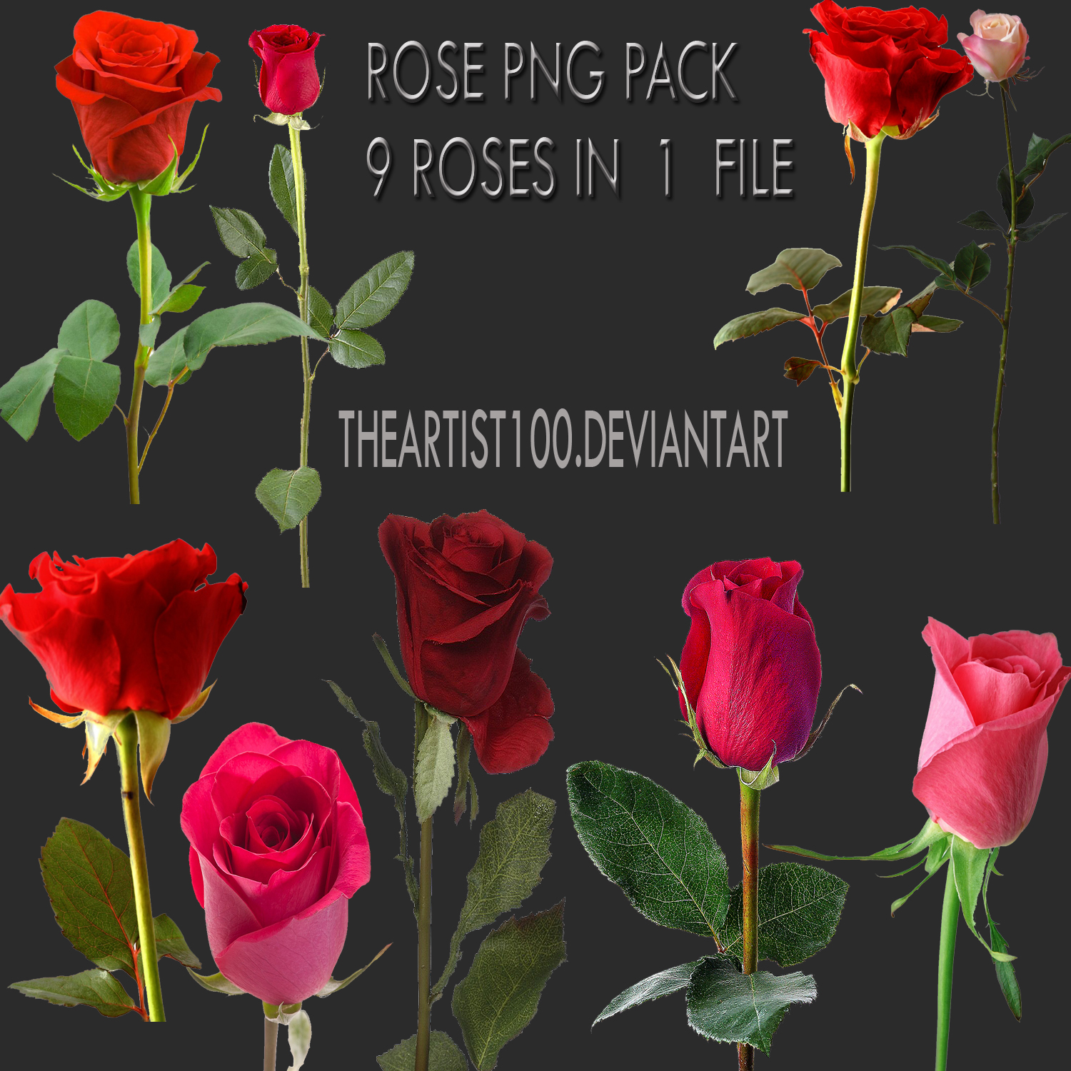 Rose PNG PACK 9 ROSES by TheArtist100 on DeviantArt