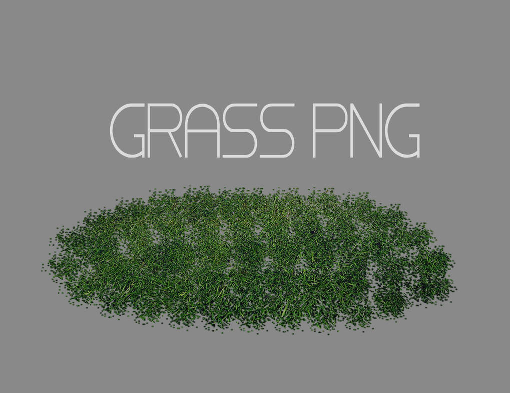 GRASS PNG FILE -TRANSPARENT by TheArtist100 on DeviantArt