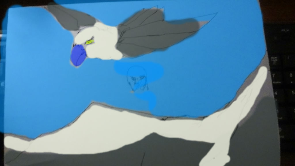 Blue Eagle : ) by Snakefangstryke on DeviantArt