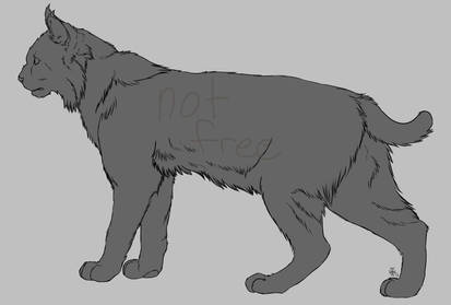 Explore the Best Bobcattemplate Art | DeviantArt