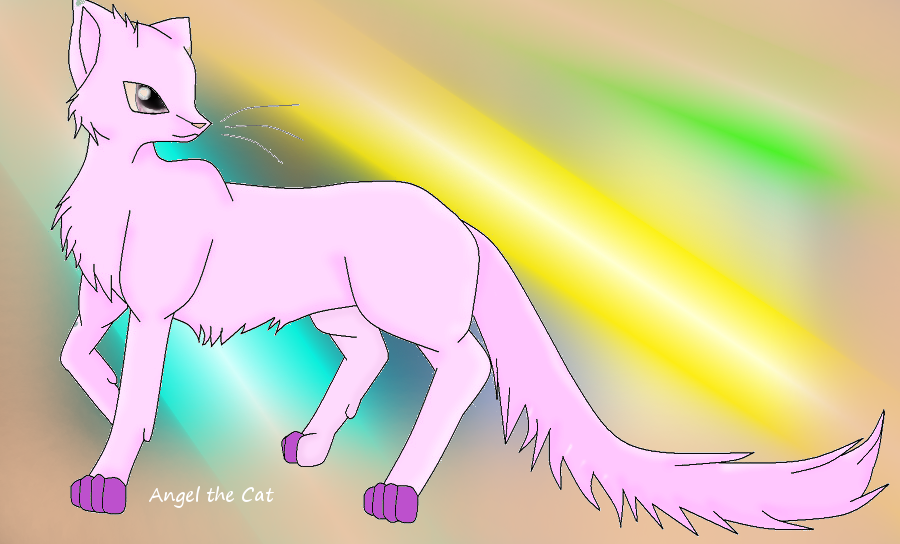 Angel the Cat Anime by GaIaxy-AngeI on DeviantArt