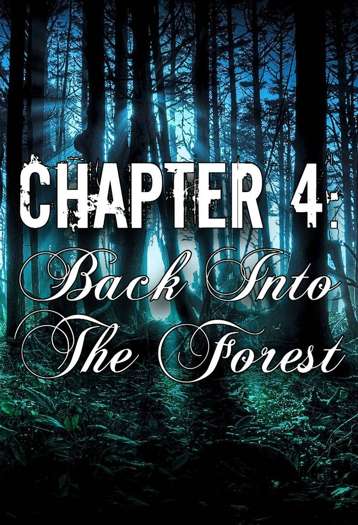 Back Into The Forest by novarose122001 on DeviantArt
