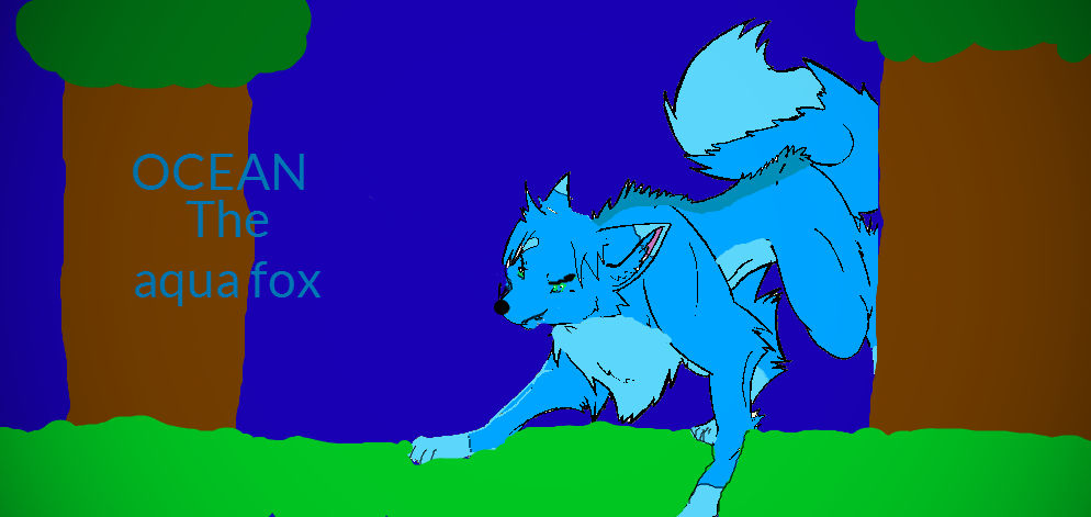 Ocean the Aqua Fox by wolvesrule123456 on DeviantArt