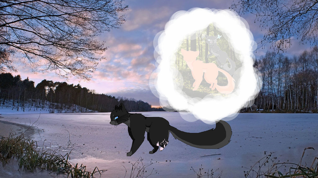 Cinderpelt's Memory by ShiningOceans on DeviantArt
