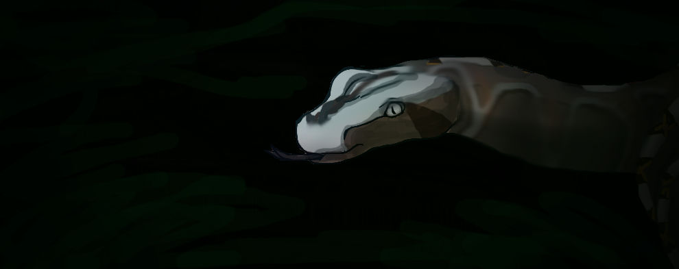 Gaboon Viper by DrawesomeJulia on DeviantArt