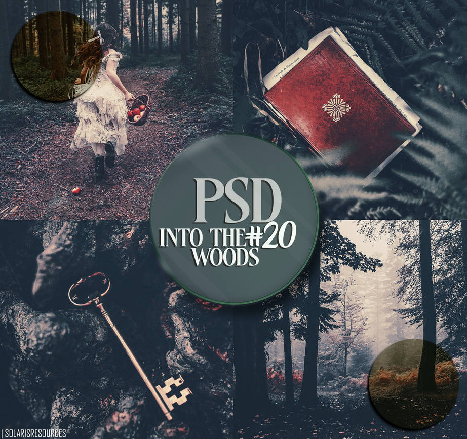 Into The Woods By Solarisresources by SolarisResources on DeviantArt