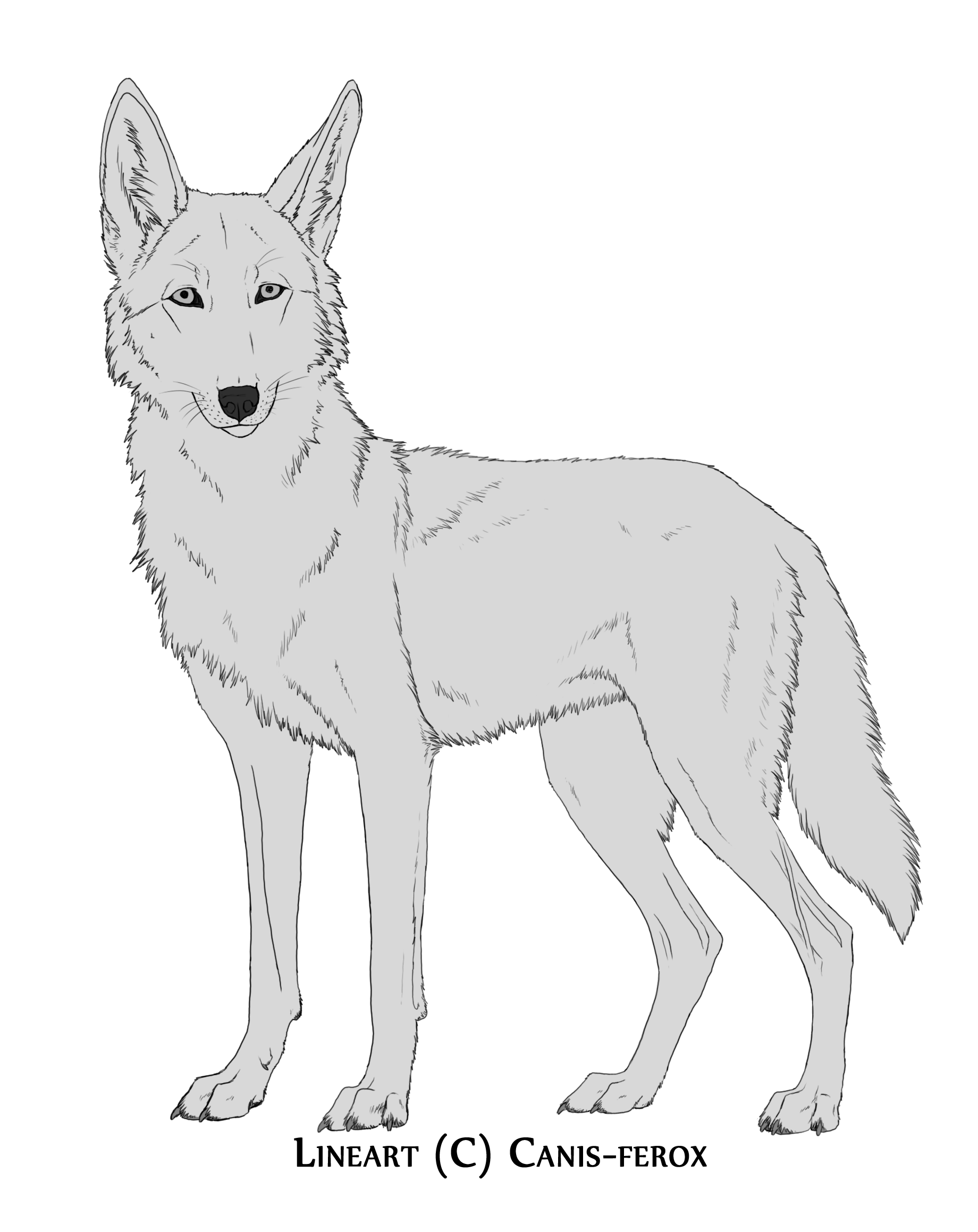 Coyote-- free lineart by Canis-ferox on DeviantArt