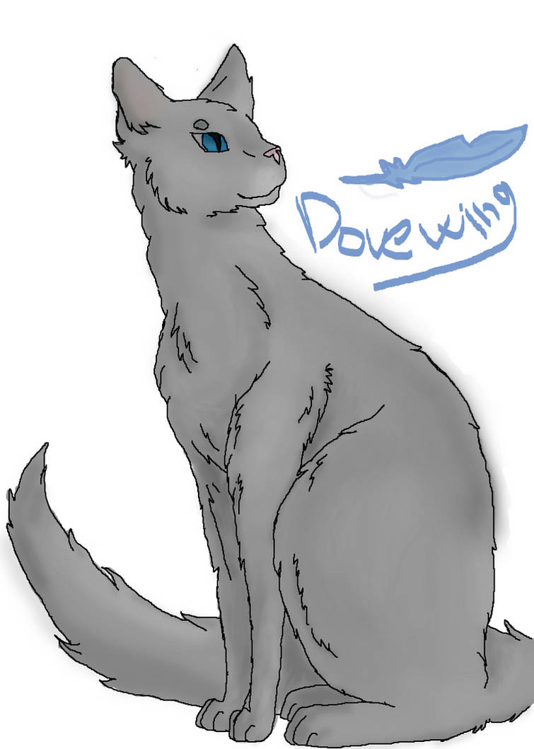 Dovewing by Fanta-Zia on DeviantArt
